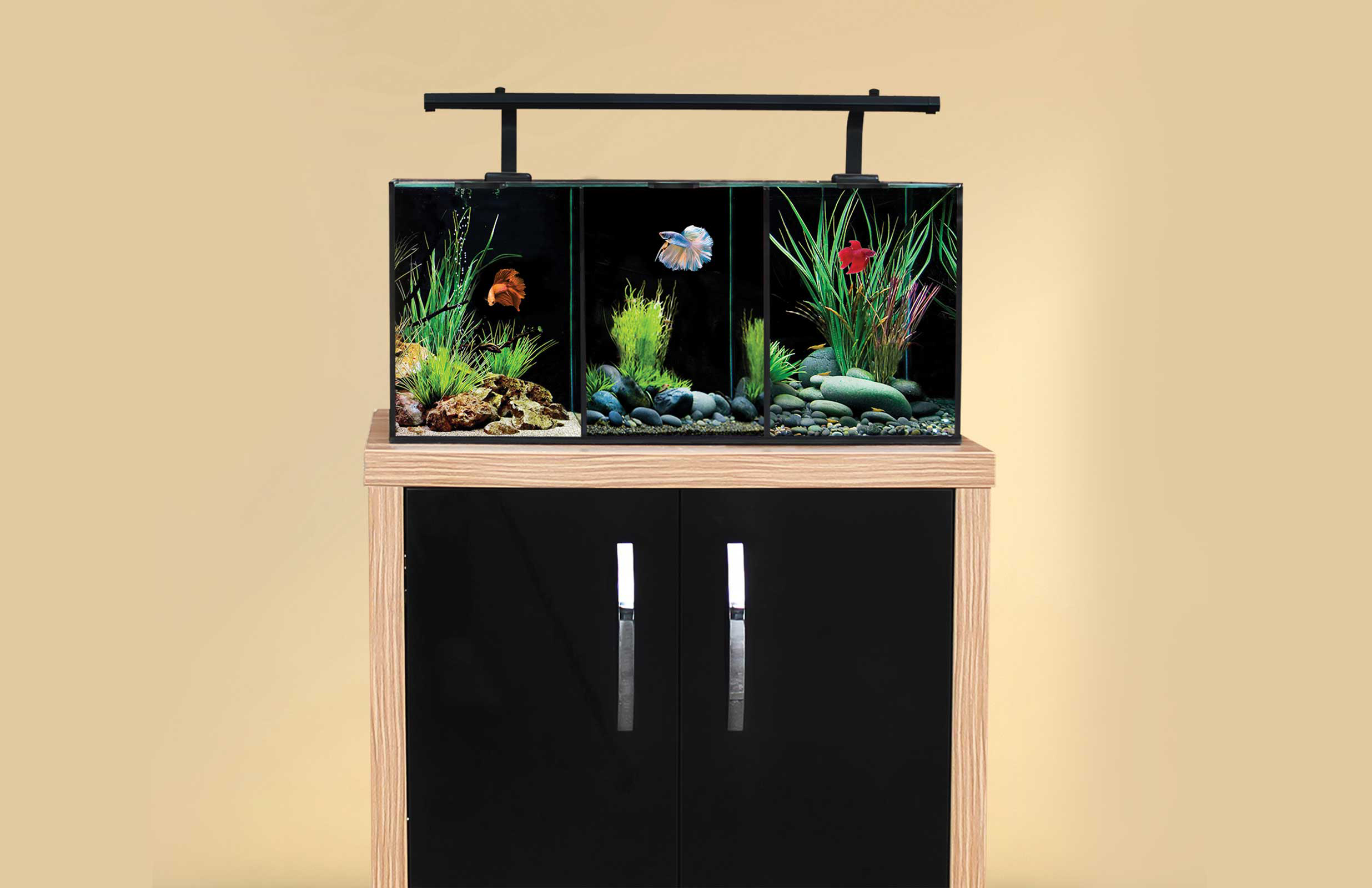 Aqua One Betta Tanks: The Perfect Home for Your Betta Fish ...